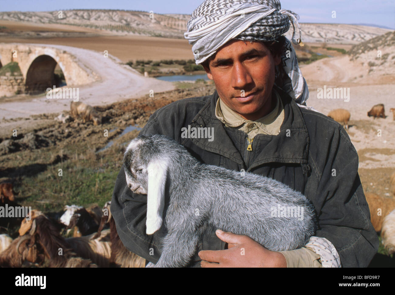 A young Arab man holds a goat kid near a Roman bridge across the Afrin ...