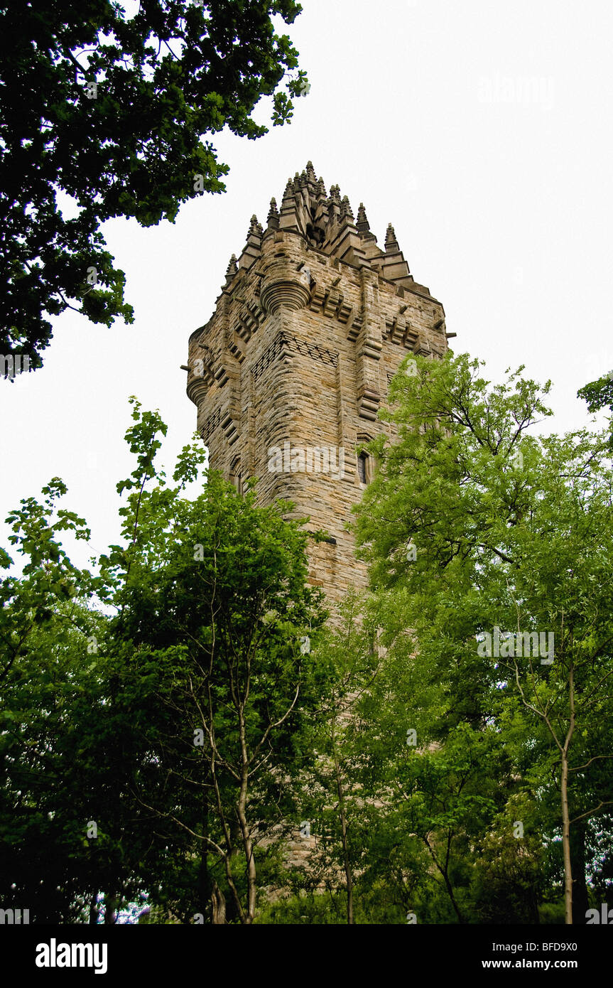 View of the Wallace monument with trees from Abbey Craig in the ...