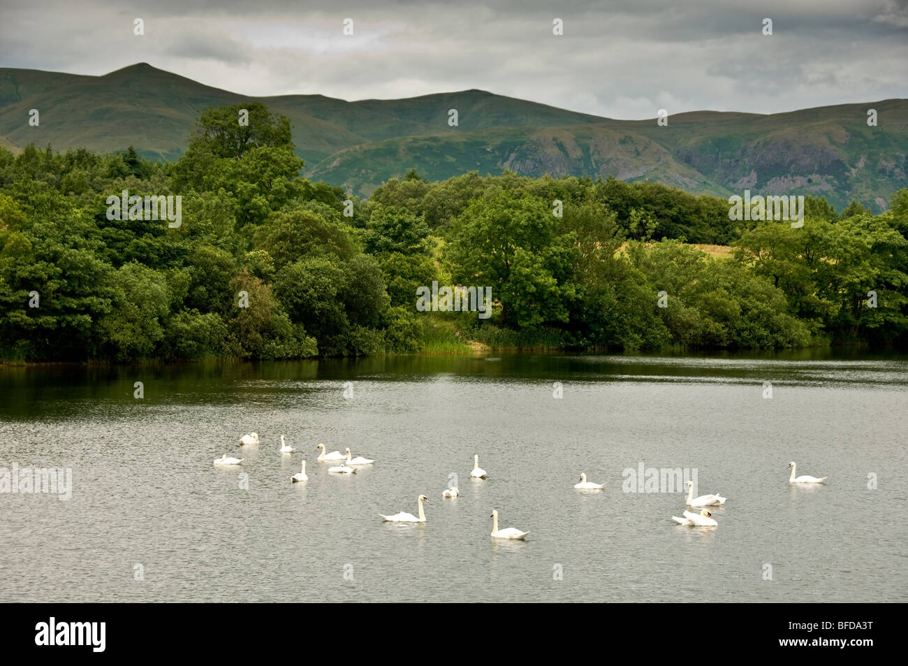 Seasons scotland nature hi-res stock photography and images - Alamy