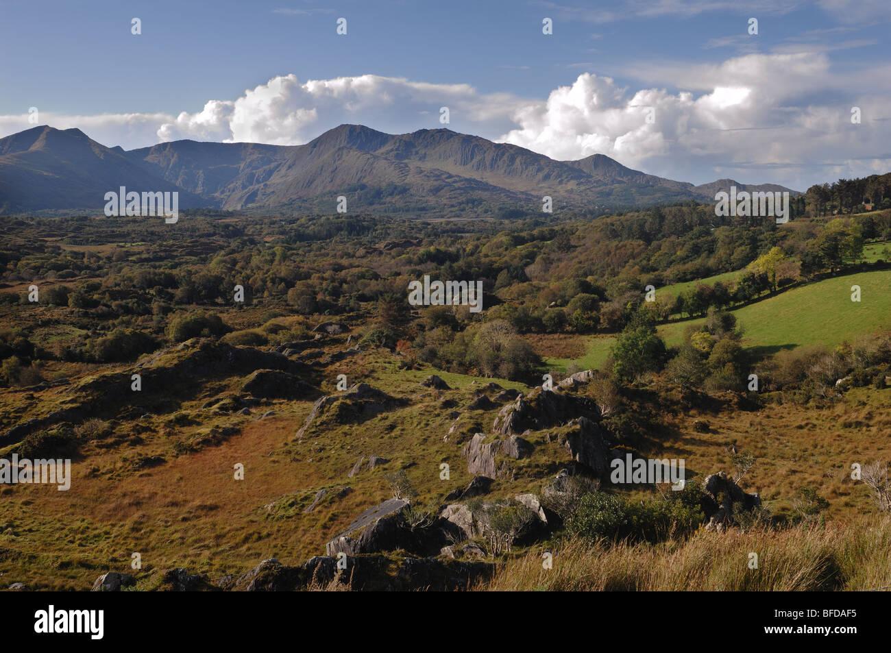 Irish moors hi-res stock photography and images - Alamy