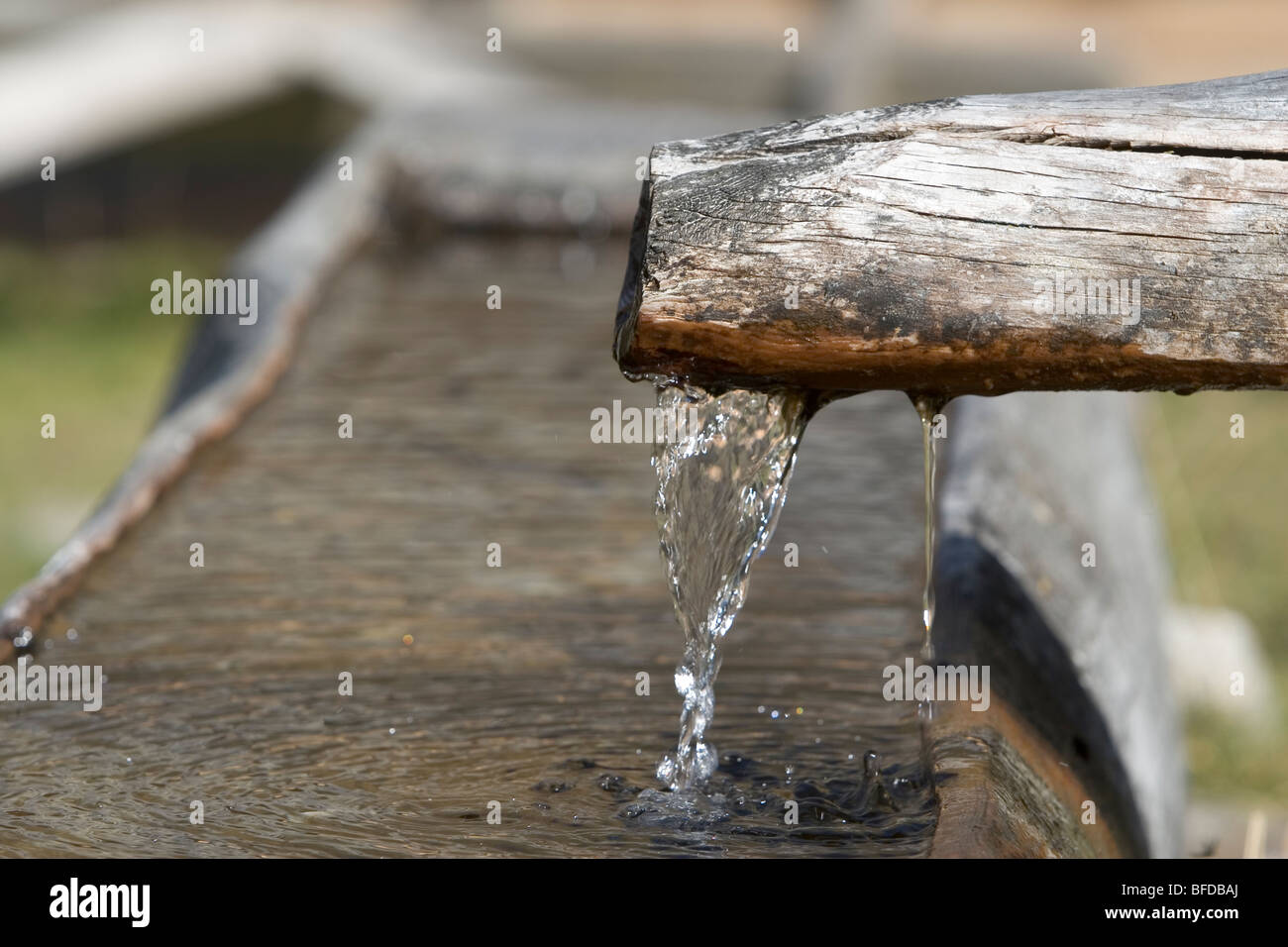 Wooden water trough hi-res stock photography and images - Alamy