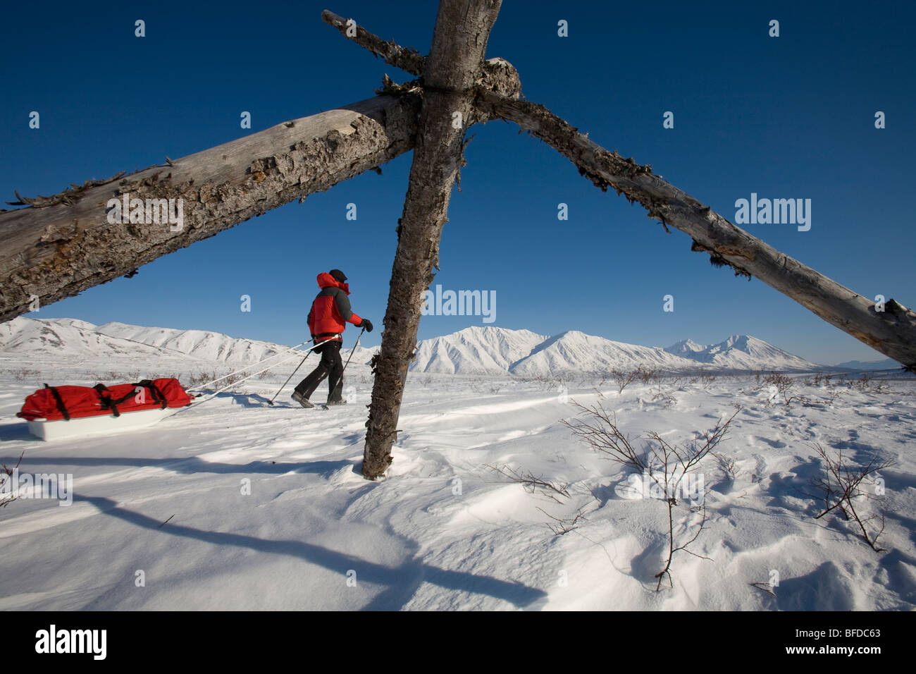 A woman hiking through a snowy, mountainous landscape pulling a sled ...