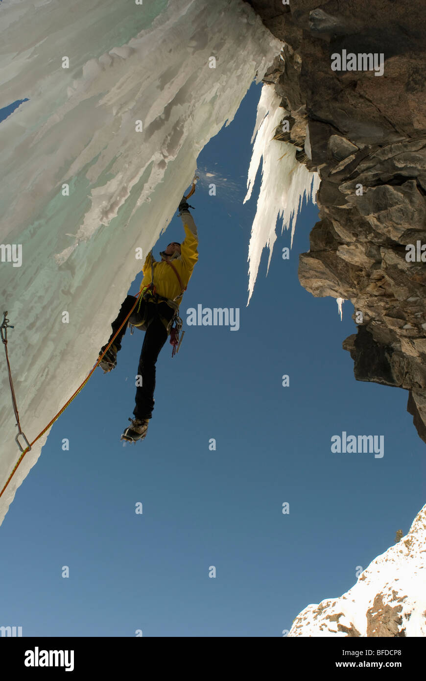 A professional male climber ascends a frozen waterfall pillar while ice ...