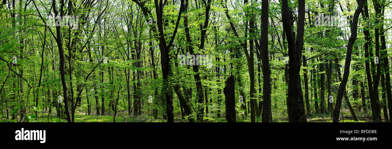 Velem velem hungary hi-res stock photography and images - Alamy