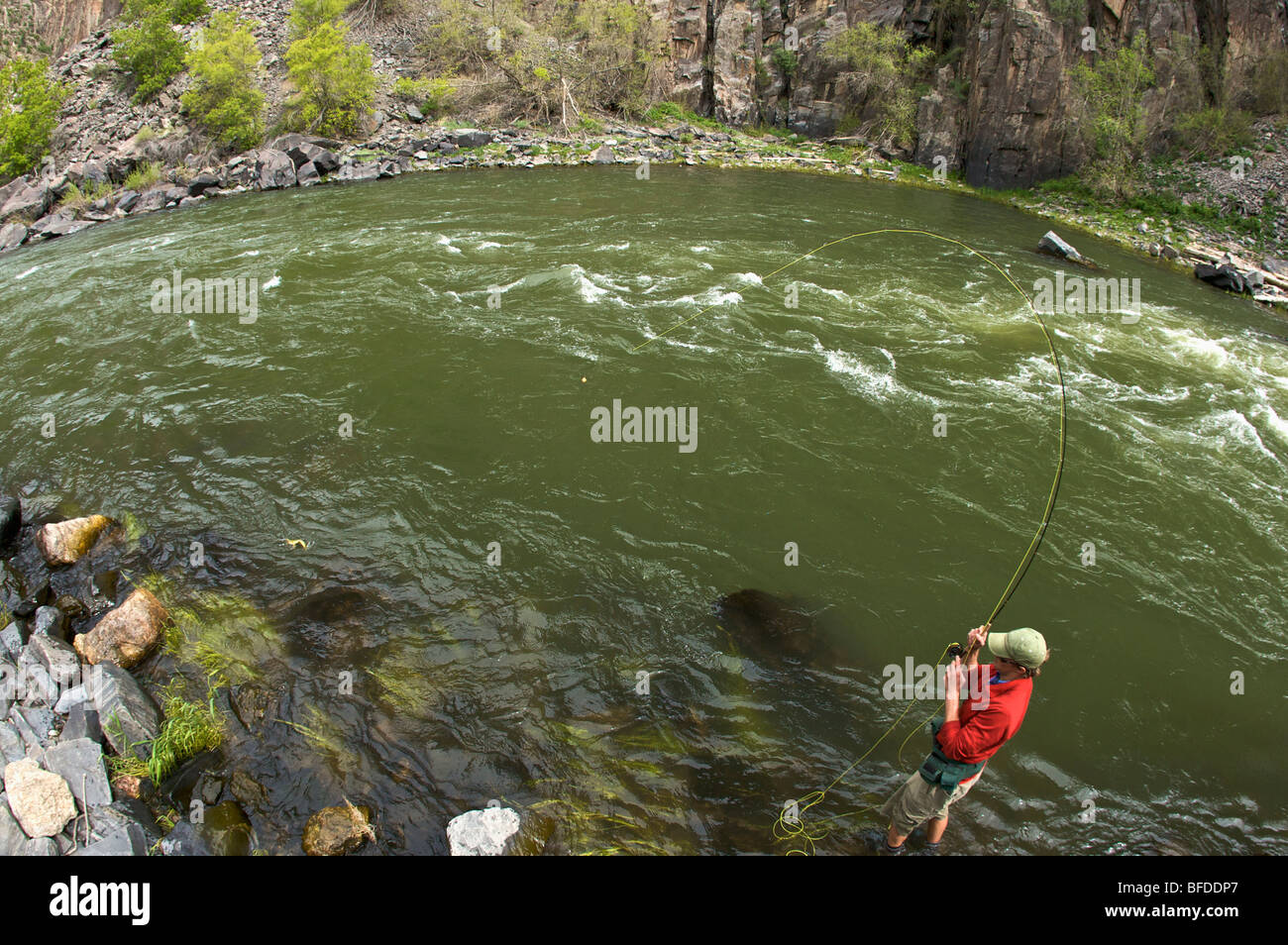 Deep angler fish hi-res stock photography and images - Alamy