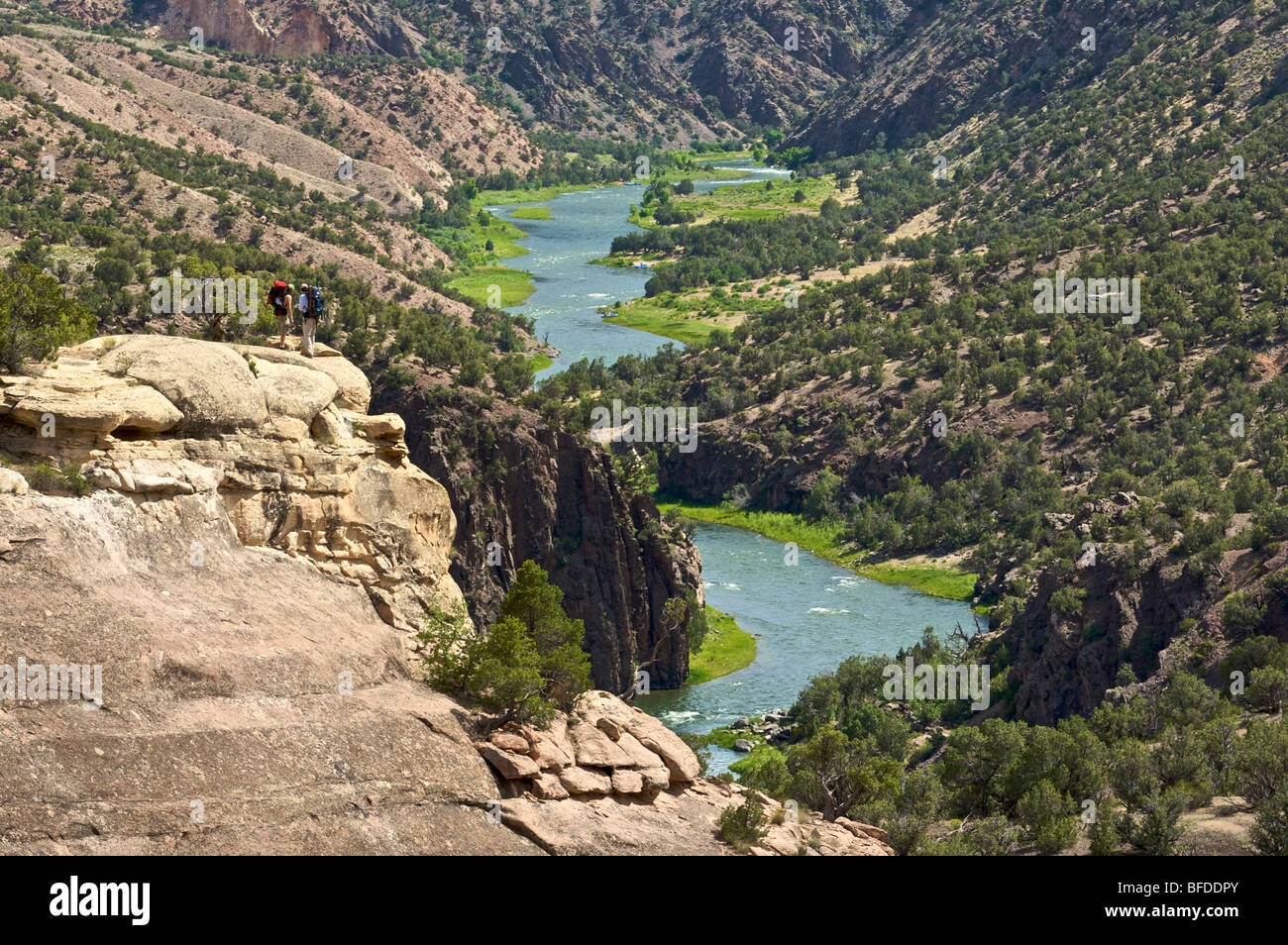 Two men look out over a gorge in Colorado Stock Photo - Alamy