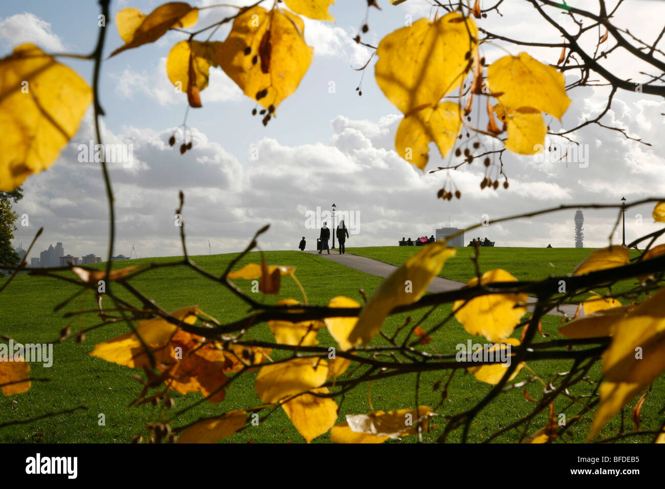 Looking through Autumn leaves to the top of Primrose Hill, London, UK ...