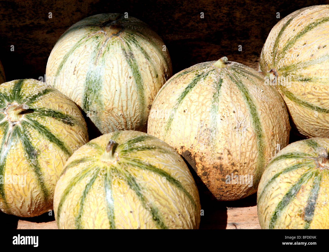 Melons in French street market Stock Photo - Alamy