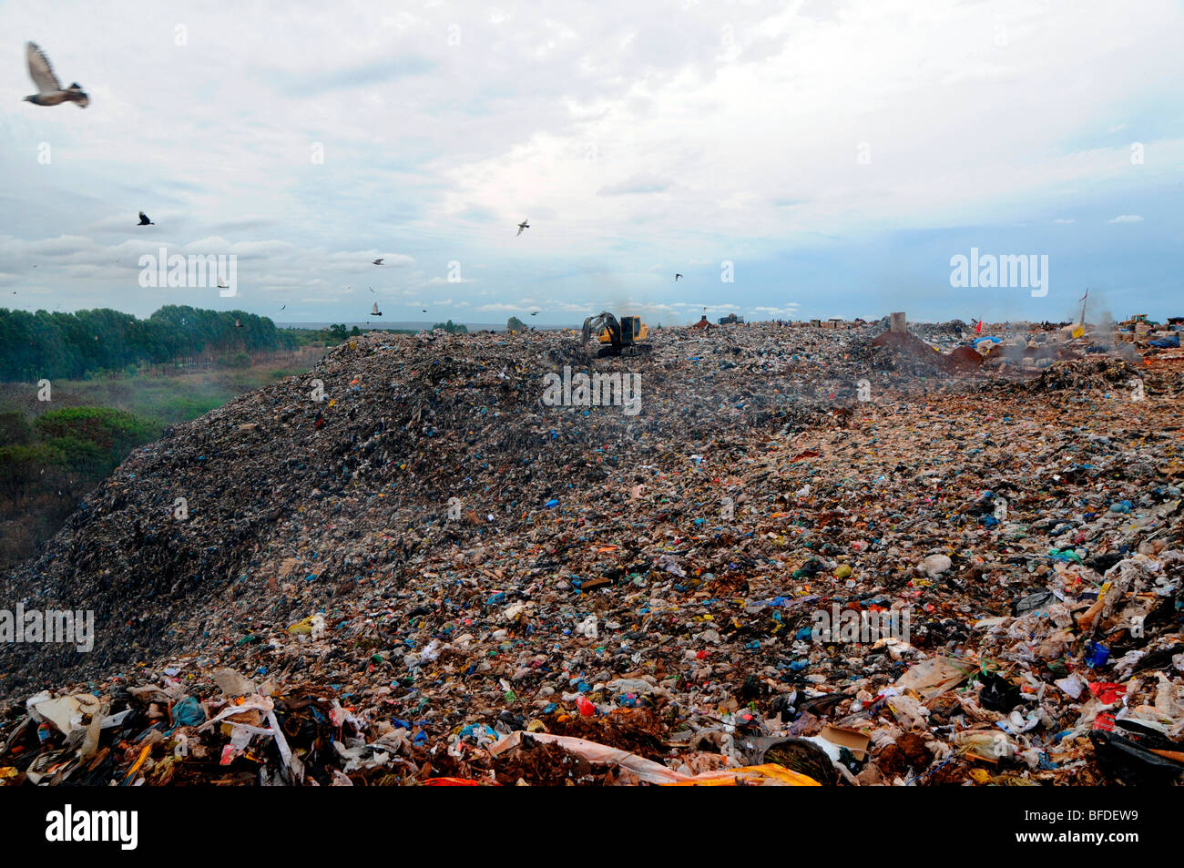 Garbage recycling in Brasilia, Brazil Stock Photo - Alamy