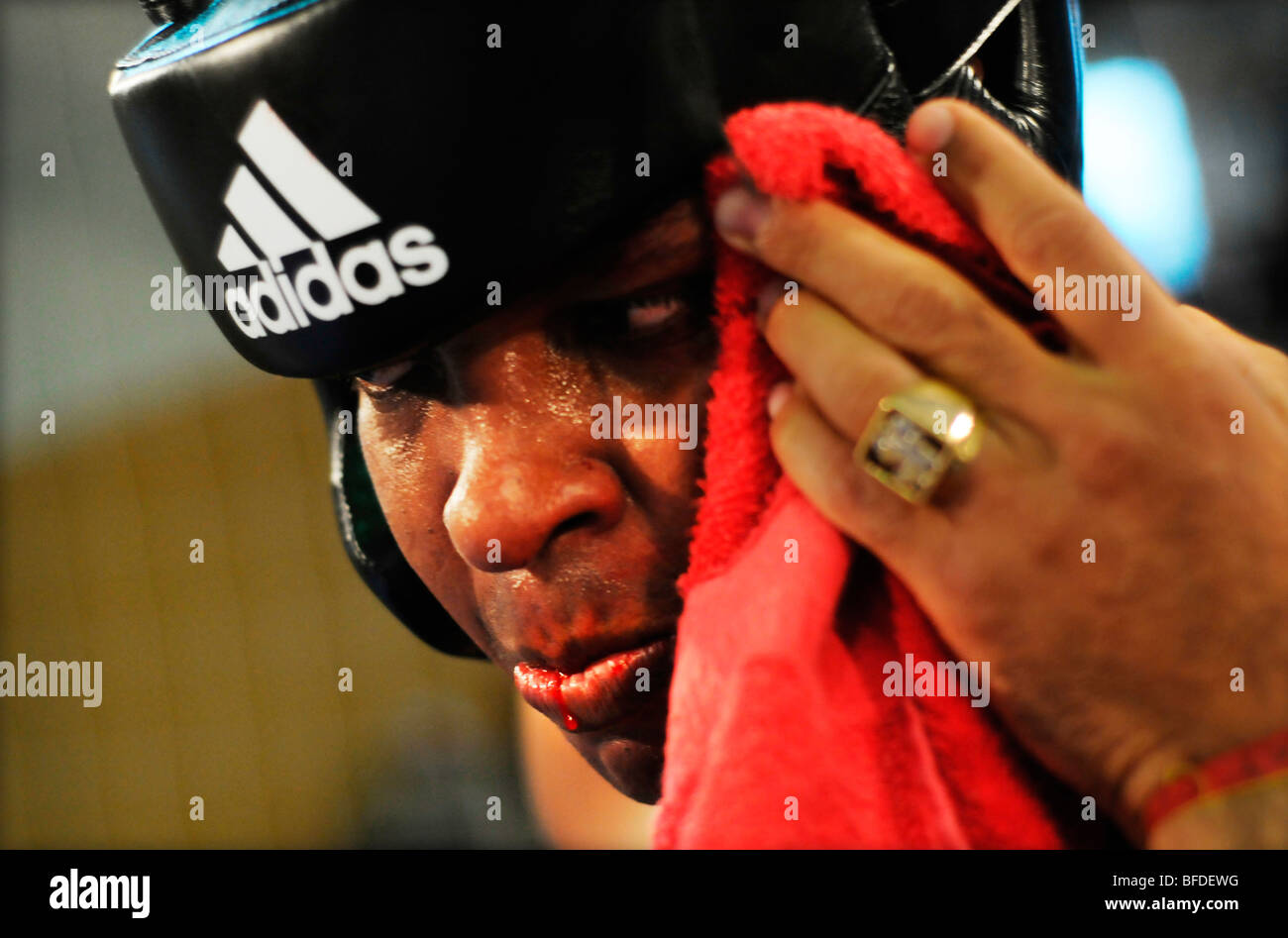 Full contact fighting sports hi-res stock photography and images - Alamy