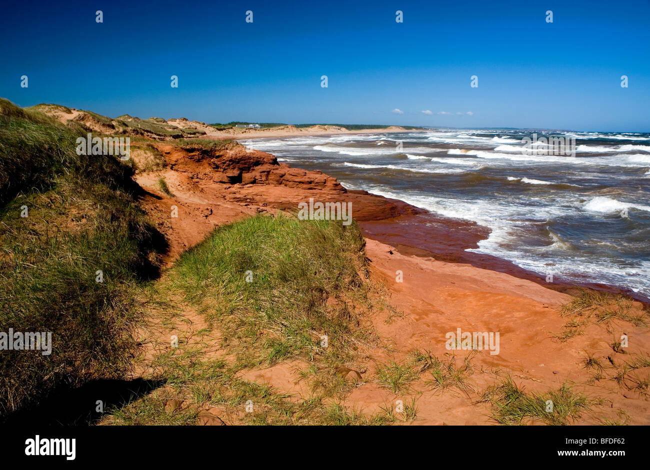 Prince edward island national par hi-res stock photography and images ...