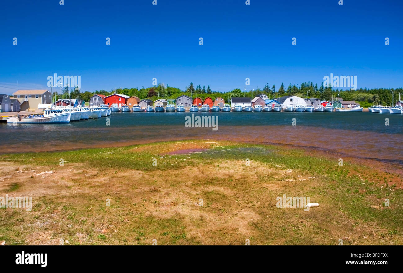 Rustico Harbour High Resolution Stock Photography and Images - Alamy