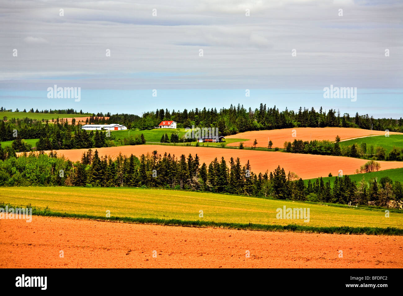 Rural landscape along the Trans-Canada Highway, Prince Edward Island ...