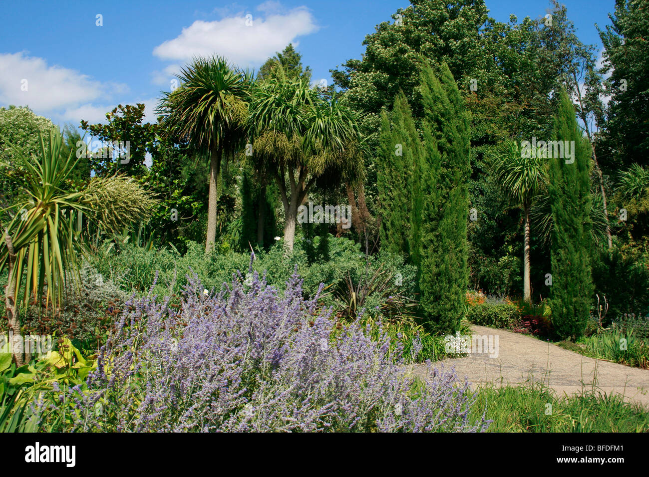 Shrubs in parks and gardens hi-res stock photography and images - Alamy