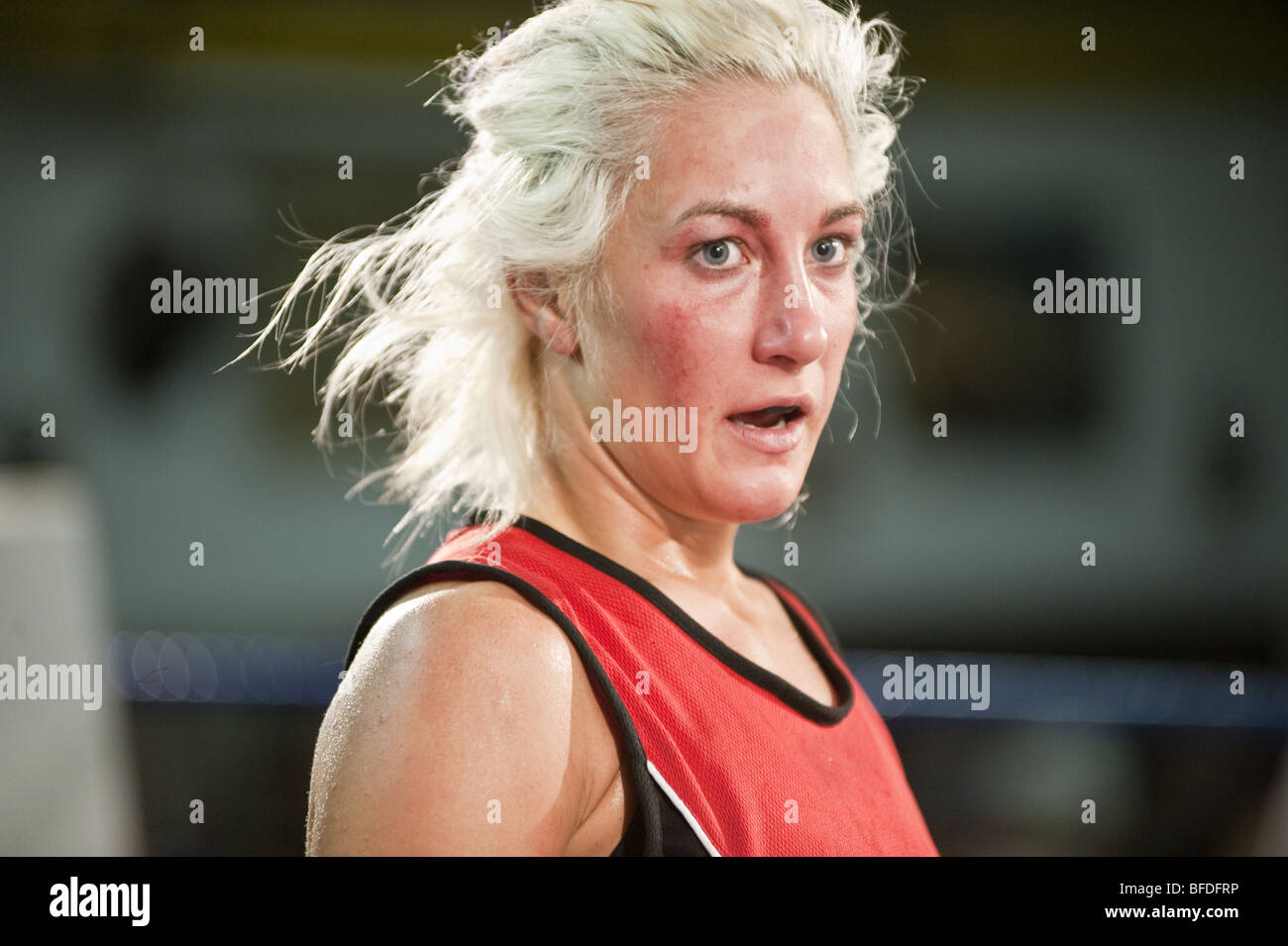 Boxer match hi-res stock photography and images - Alamy