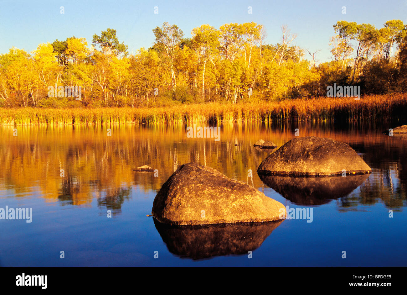 Autumn colours along the Whiteshell River, Whiteshell Provincial Park ...