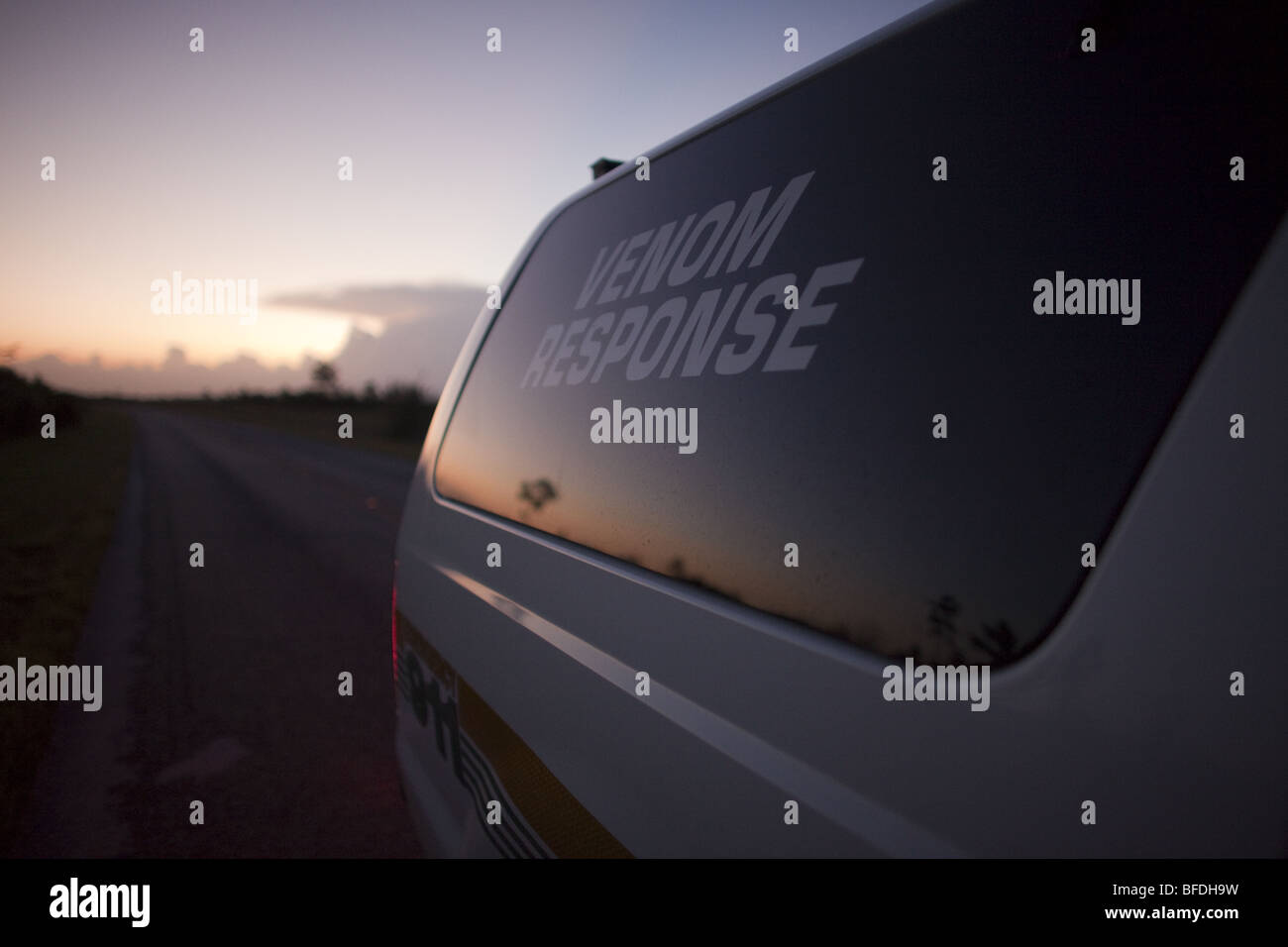 Burmese pythons florida hi-res stock photography and images - Alamy