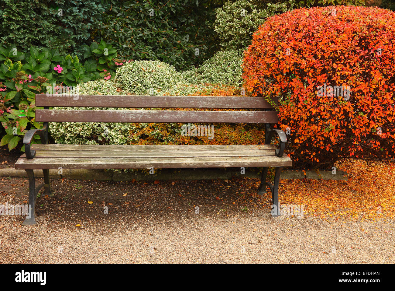 Wroclaw Old park bench and autumn red shrub Botanical Garden Poland ...