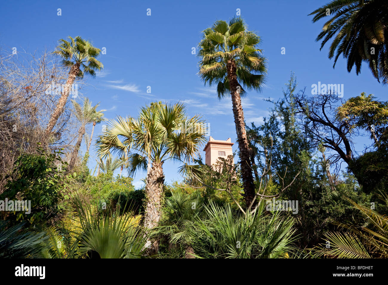 Gueliz marrakech morocco hi-res stock photography and images - Alamy