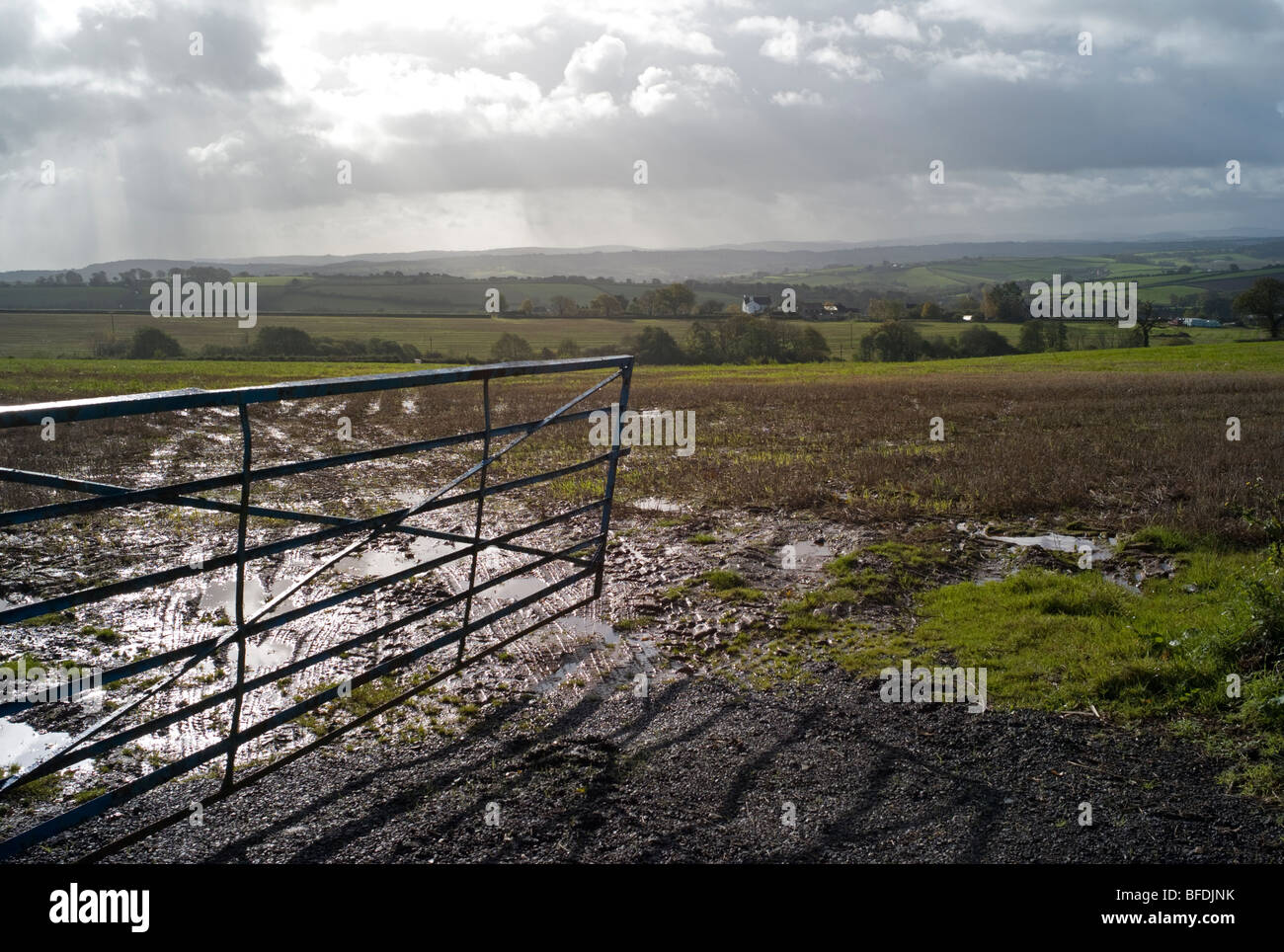Farm gate Devon UK Stock Photo - Alamy