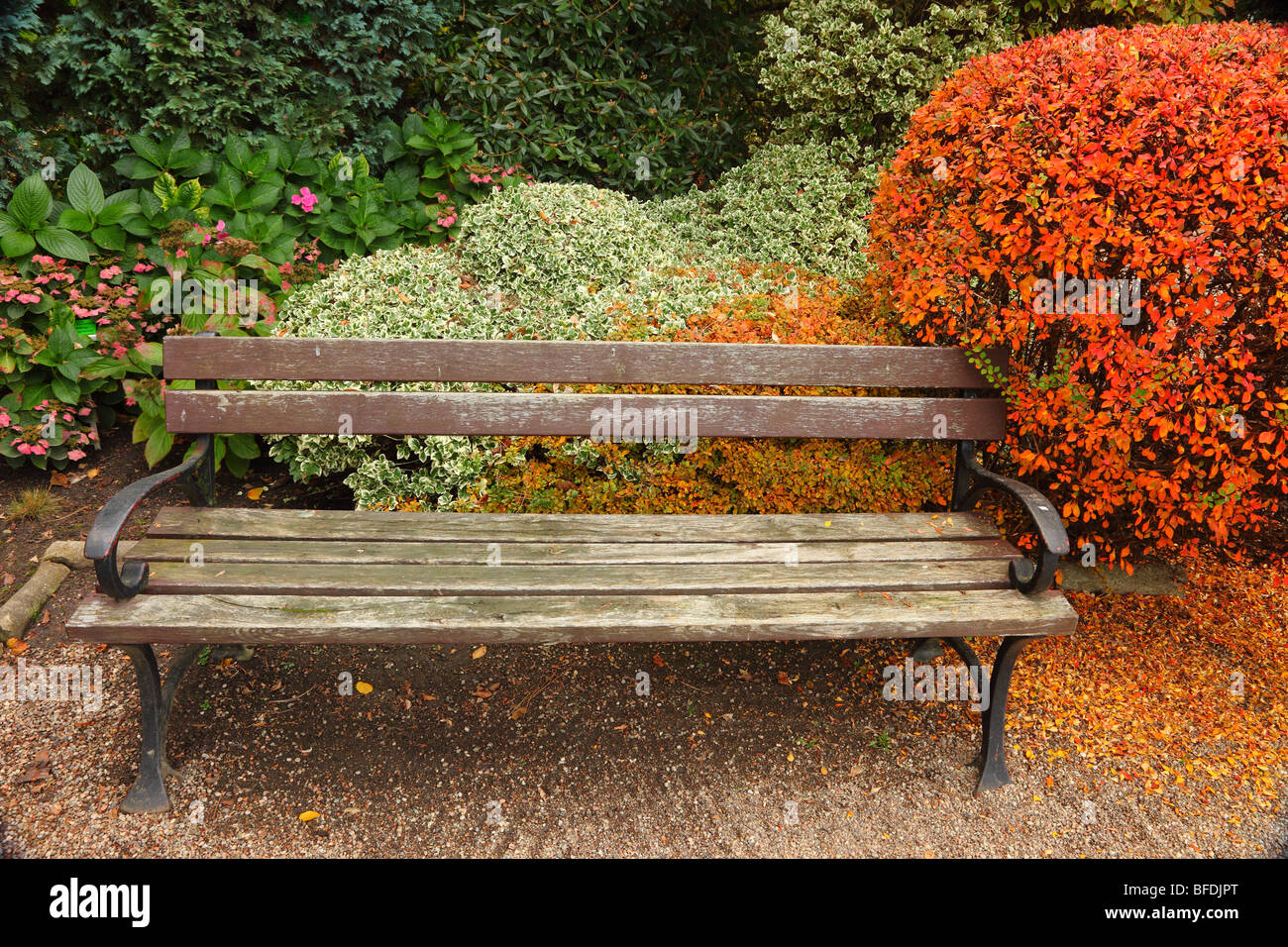 Old Park Bench