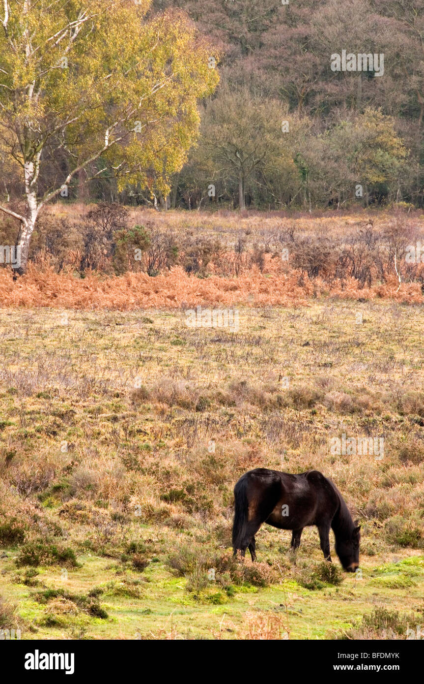 Matley heath hi-res stock photography and images - Alamy