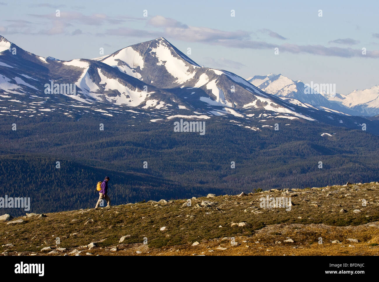 Chilcotin mountains hiking hi-res stock photography and images - Alamy