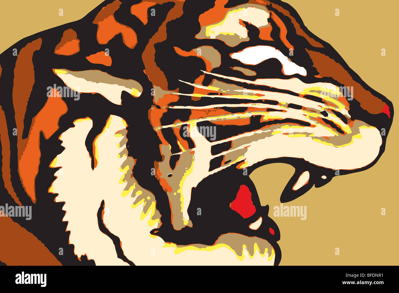 Roaring tiger hi-res stock photography and images - Alamy