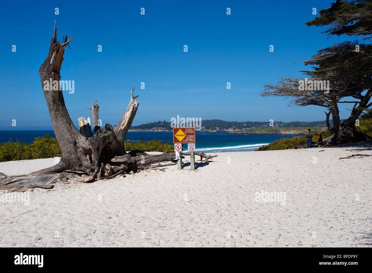 Carmel beach california hi-res stock photography and images - Alamy