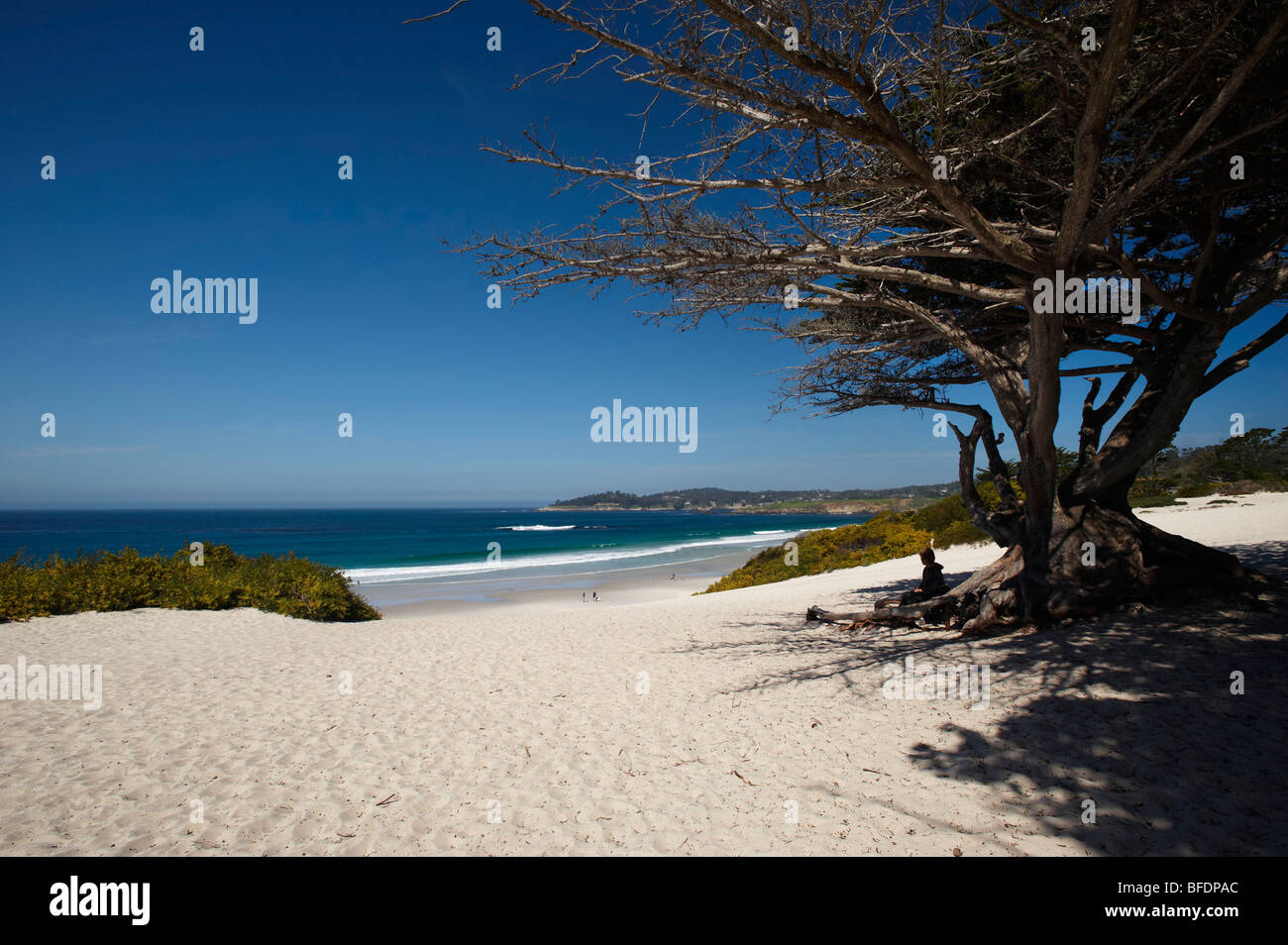 Carmel Beach California USA Stock Photo - Alamy
