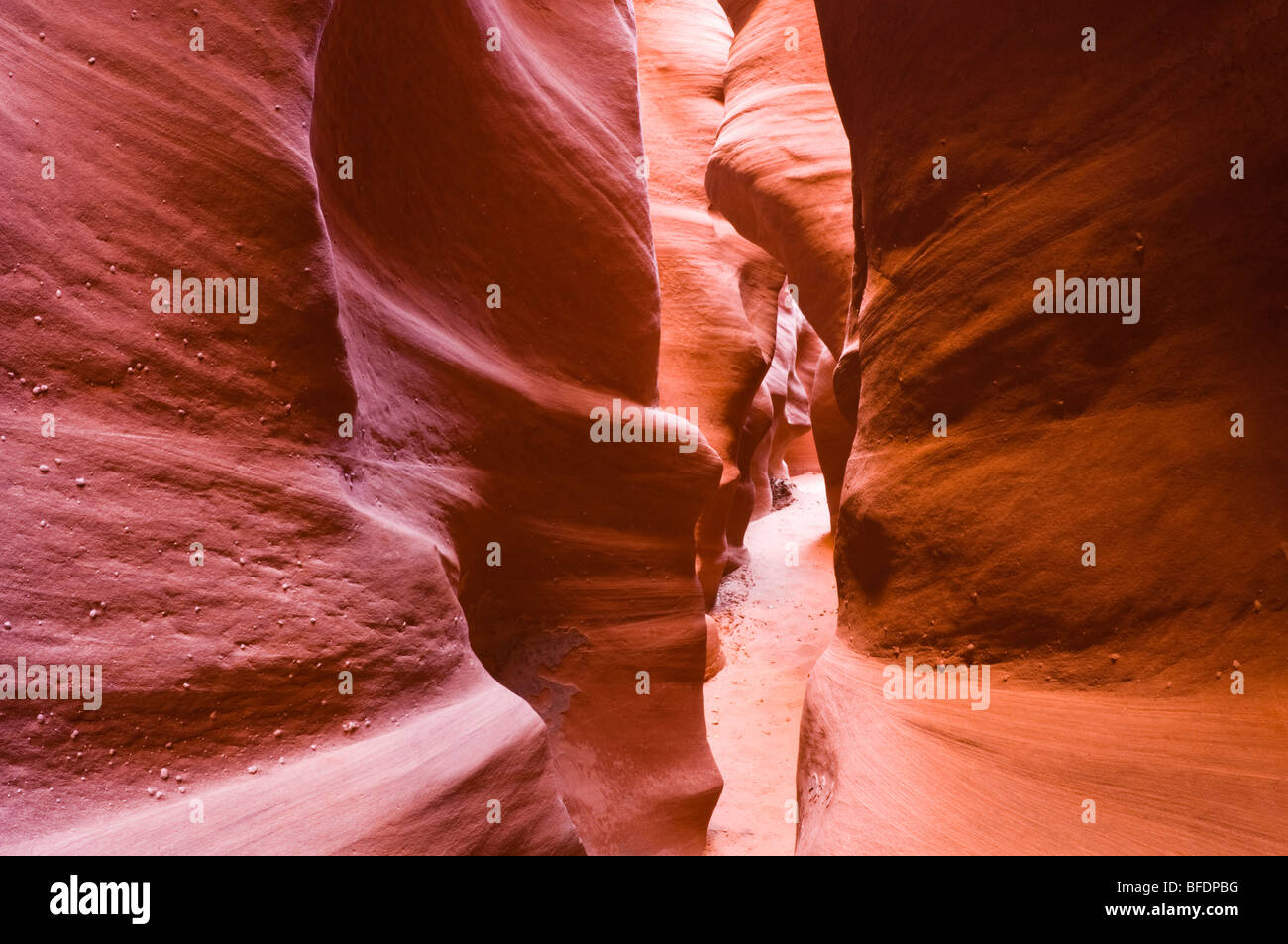 Slot canyon in Spooky Gulch, Grand Staircase-Escalante National ...