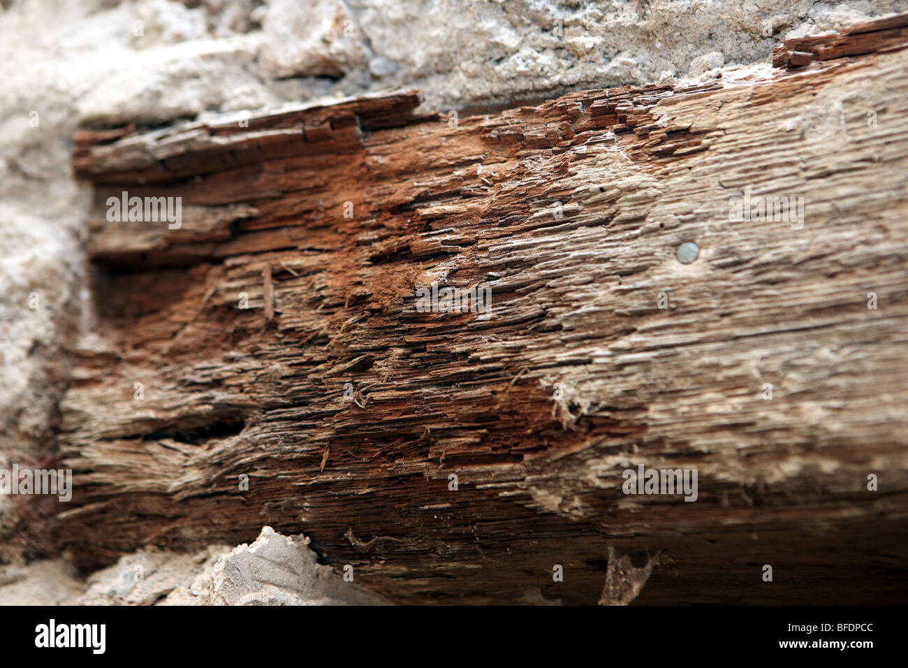 Wet rot hi-res stock photography and images - Alamy