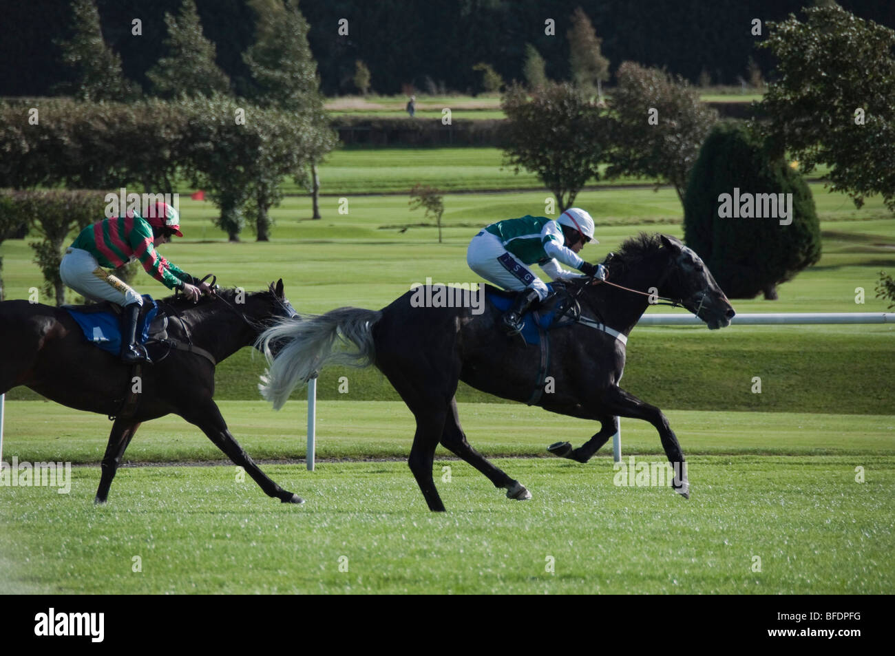 Kelso racecourse hi-res stock photography and images - Alamy