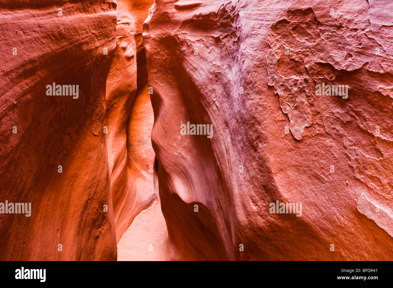 Slot canyon in Spooky Gulch, Grand Staircase-Escalante National ...