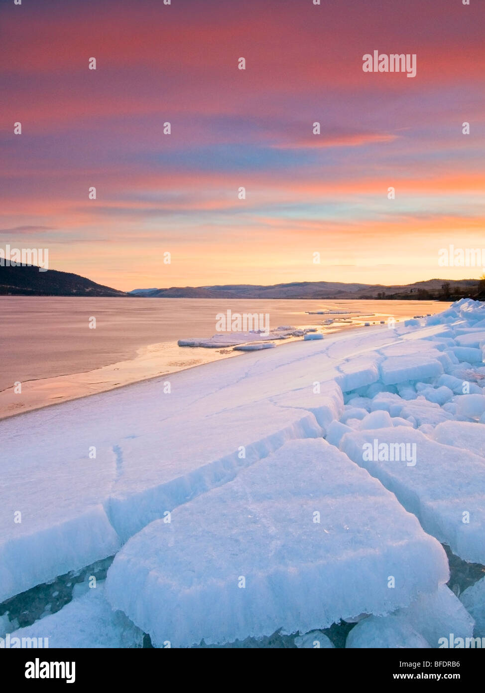 British ice hi-res stock photography and images - Alamy