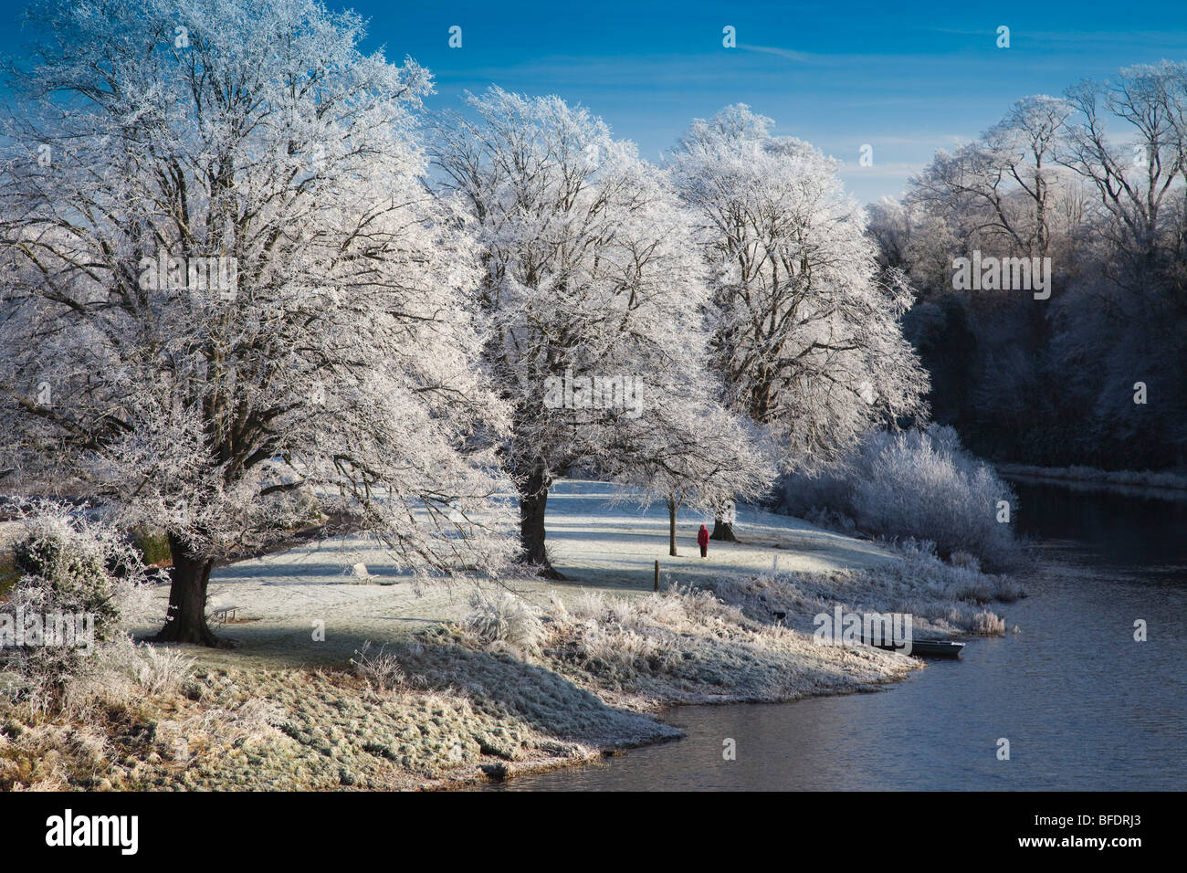 Kelso Scotland Tweed riverside in winter the Mayfield walk Stock Photo ...