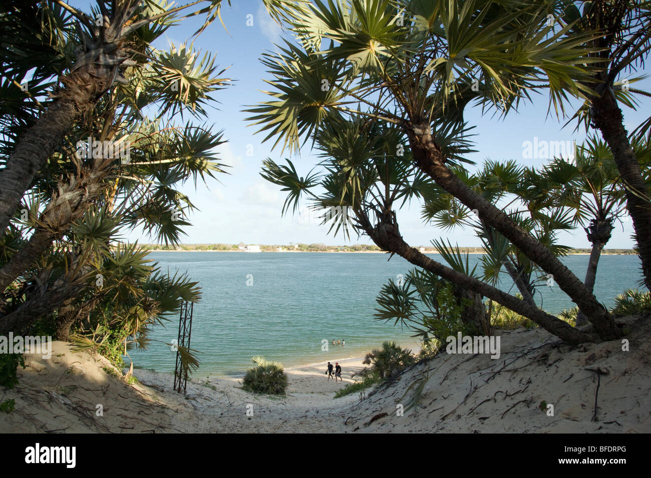 Sand Dunes and Beach - near Shela Village - Lamu Island, Kenya Stock ...