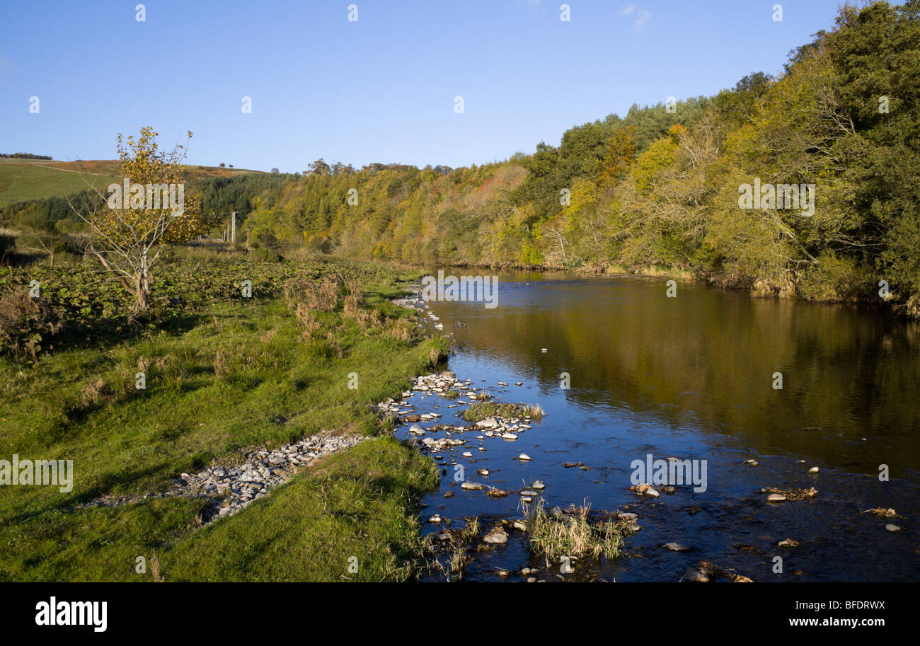 The River Whiteadder at Cockburn Bridge in Berwickshire with forested ...