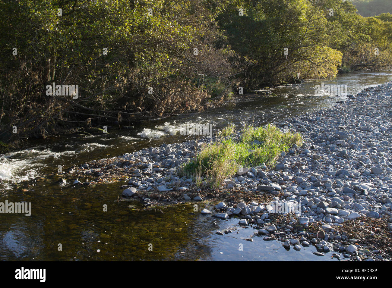 The River Whiteadder at Cockburn Bridge in Berwickshire Stock Photo - Alamy