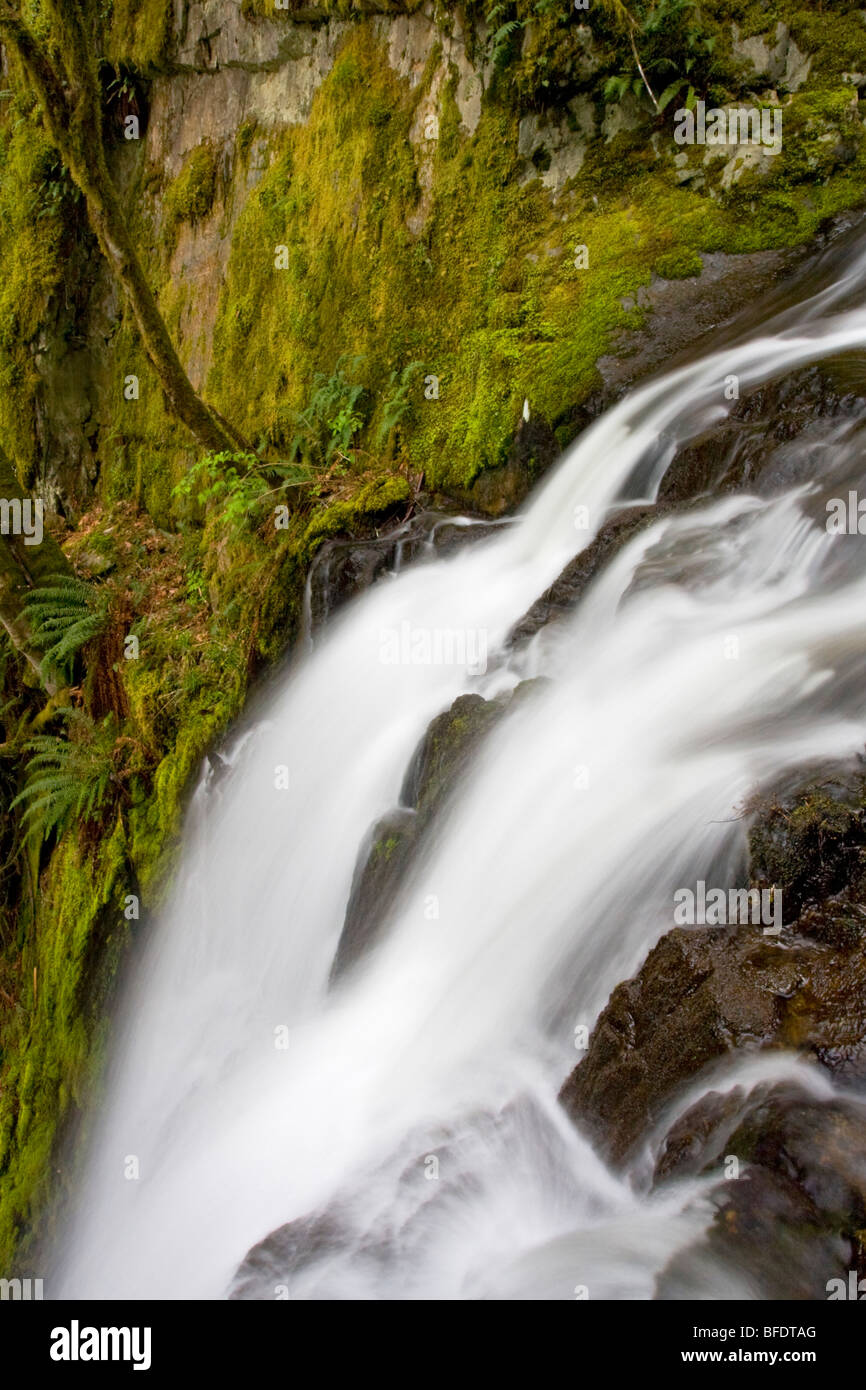 A mountain waterfall at Goldstream Provincial Park in Victoria ...