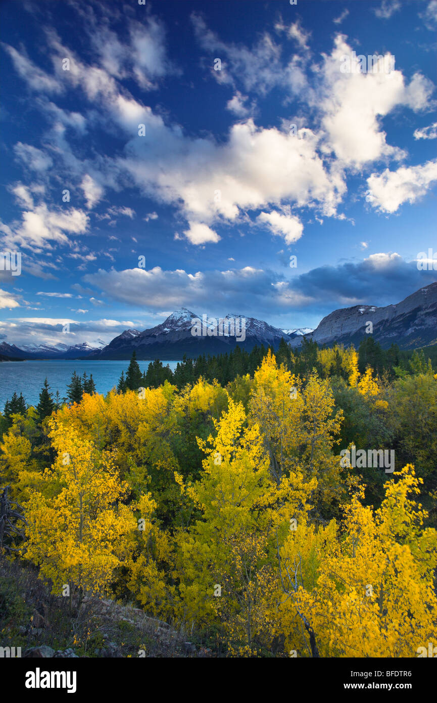 Lake Abraham and Elliot Peak, Kootenay Plains, Alberta, Canada Stock ...
