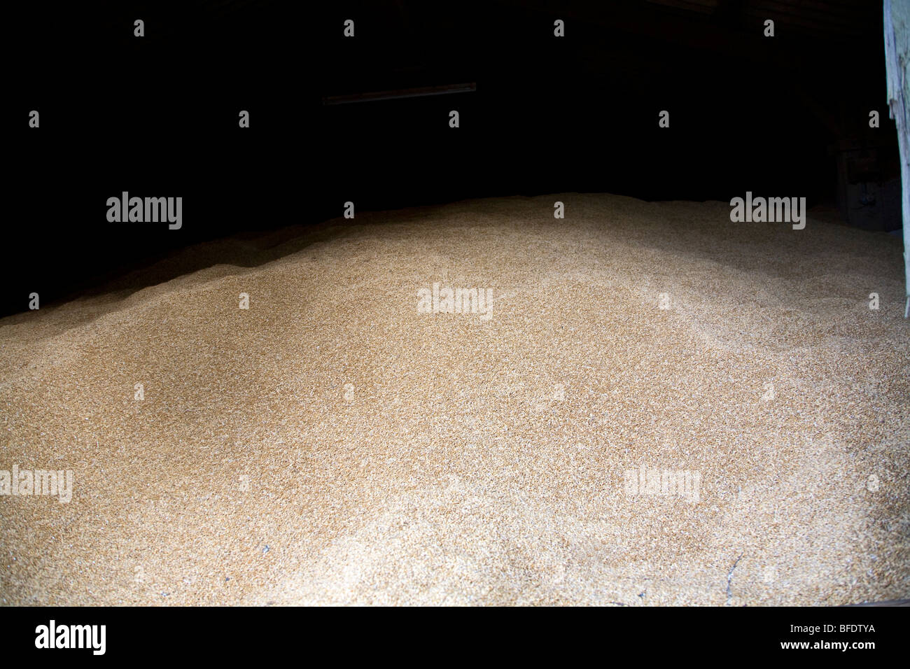 Grain store in farm Stock Photo - Alamy