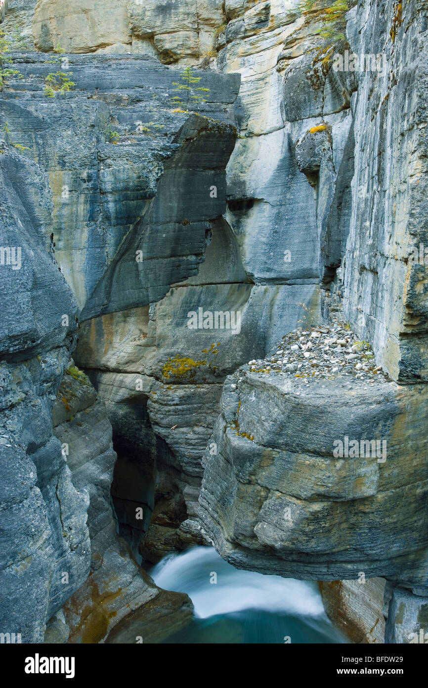 Mistaya River in the Mistaya River Canyon, Banff National Park, Alberta ... Mistaya River in the Mistaya River Canyon, Banff National Park, Alberta ...