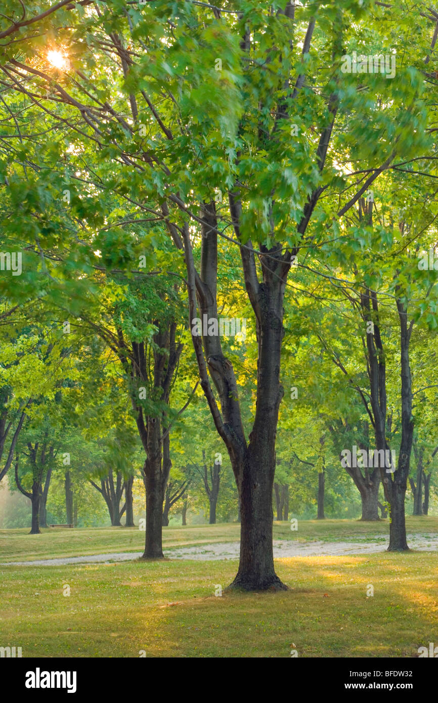 Selkirk provincial park hi-res stock photography and images - Alamy