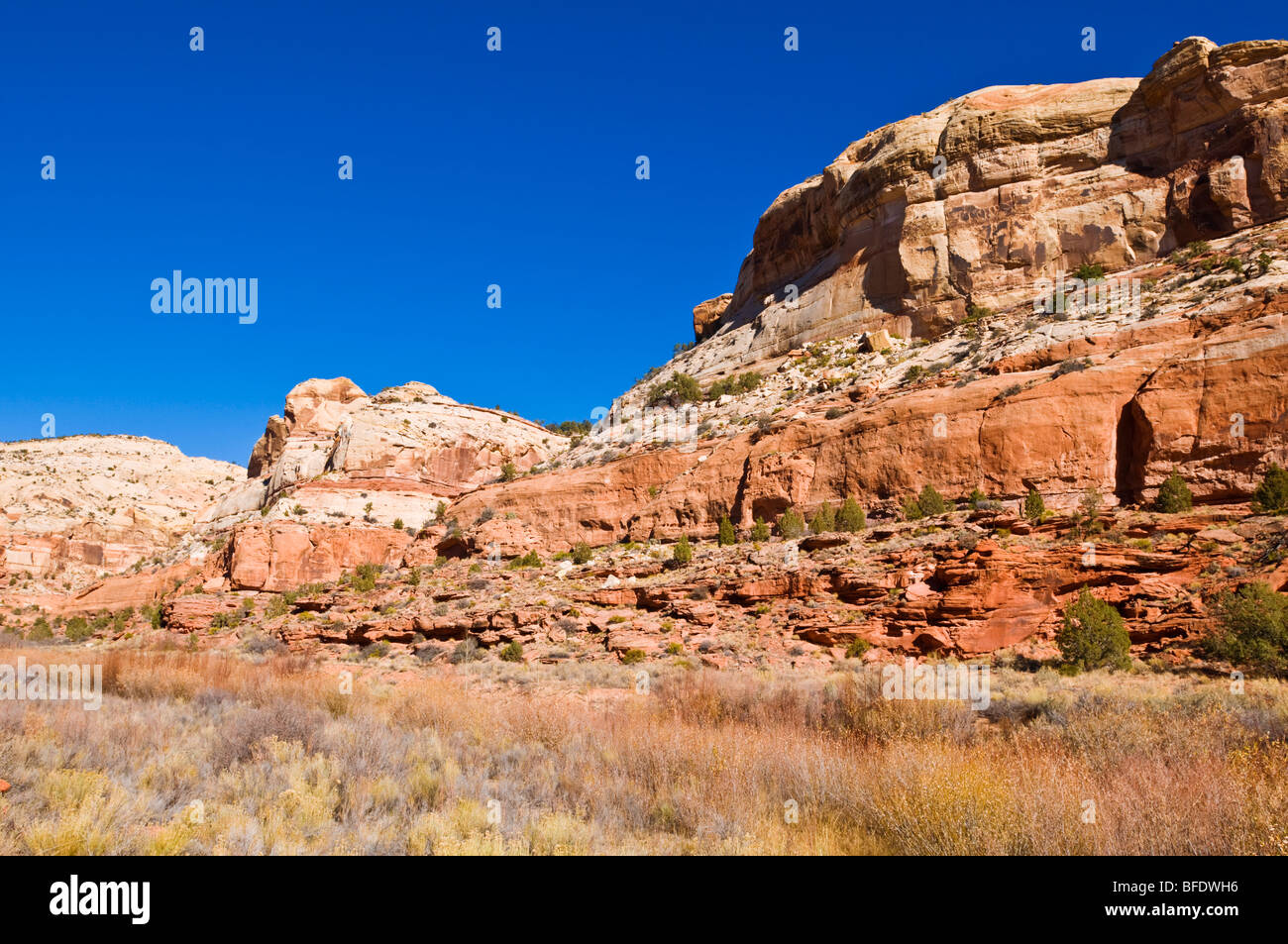 North falls along canyon hi-res stock photography and images - Alamy
