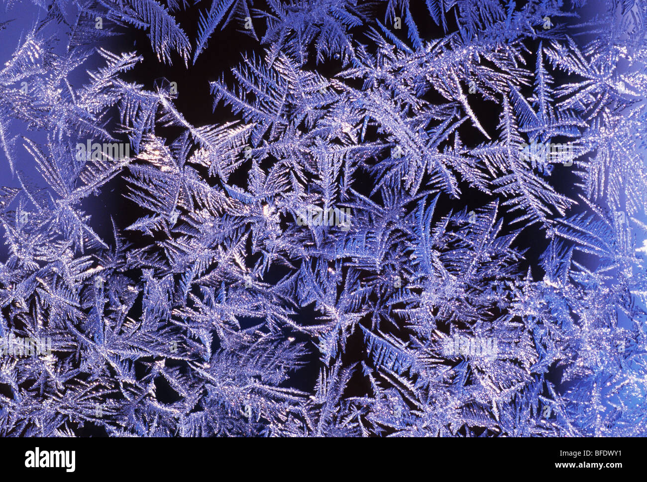 Frost patterns on the windows hi-res stock photography and images - Alamy
