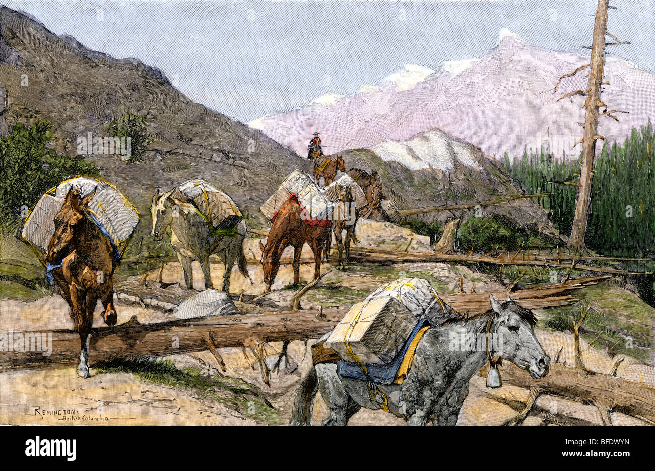 British man 1800s hi-res stock photography and images - Alamy