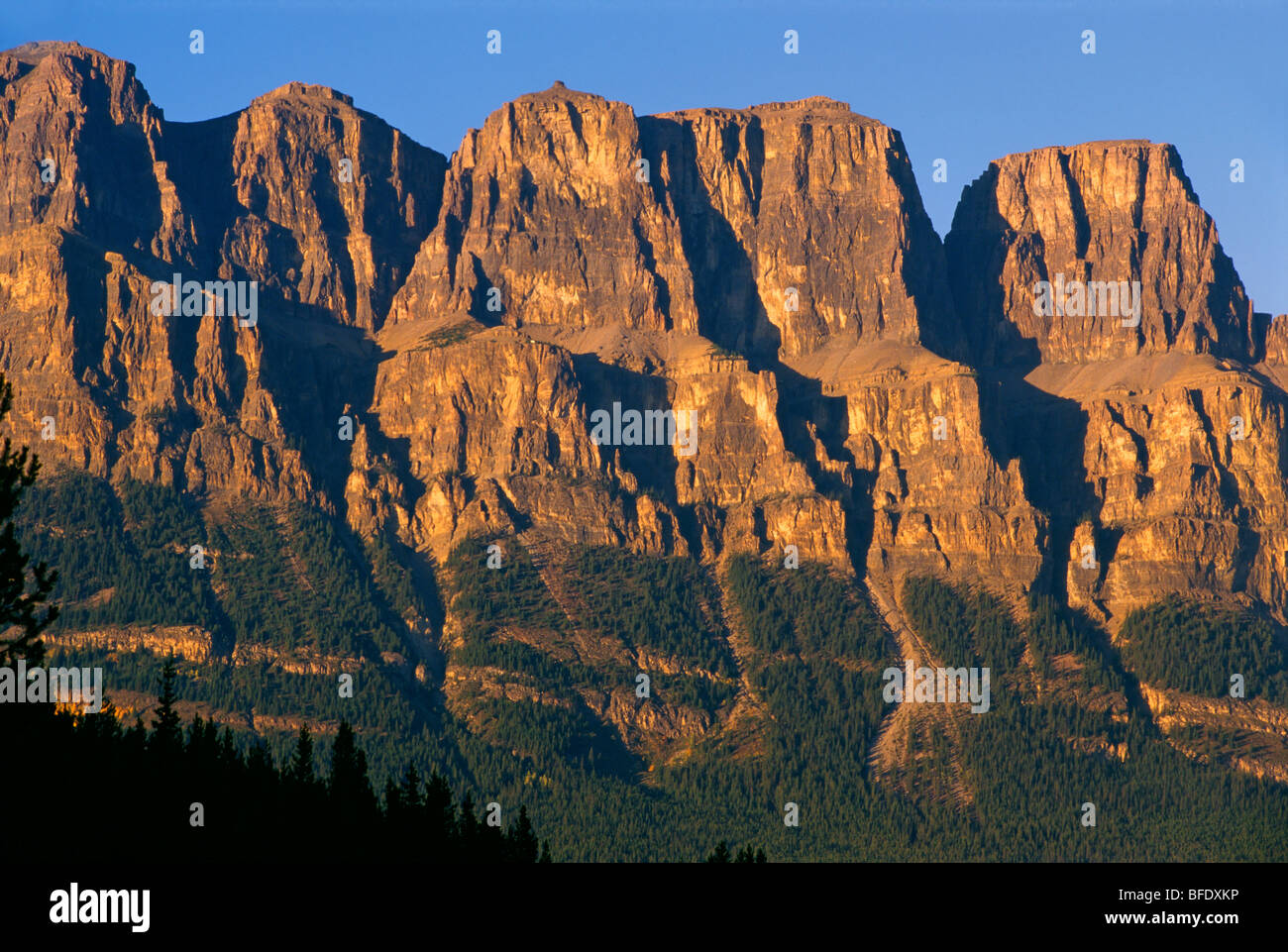Castle Mountain, Banff National Park, Alberta, Canada Stock Photo - Alamy