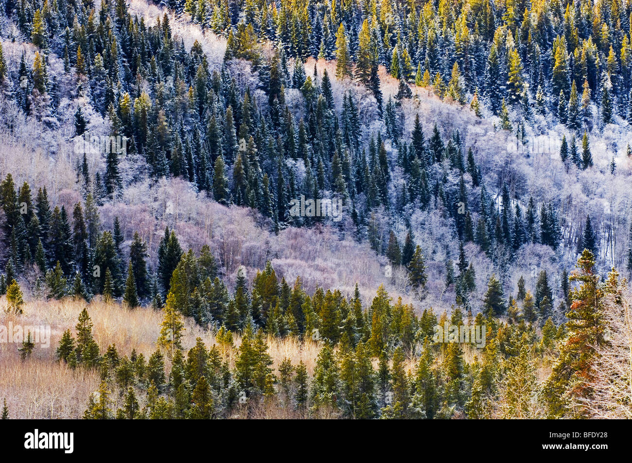 Provin mountain hi-res stock photography and images - Alamy