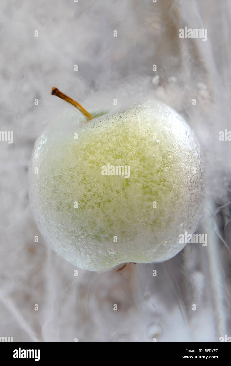 A frozen apple suspended in a block of ice Stock Photo - Alamy